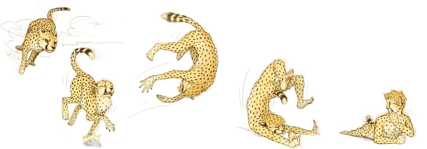 Cheetah Tf Commission By Birvan Transfur